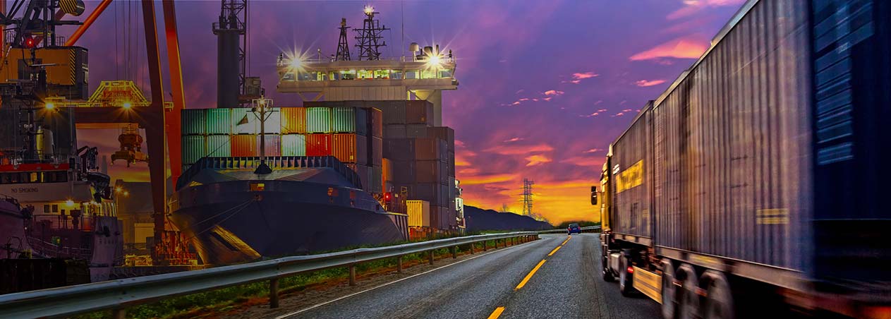 NICDC Logistics Data Services (NLDS)